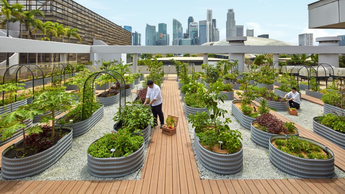 Get your green on: Go Green SG 2024 promises eco-friendly fun for all